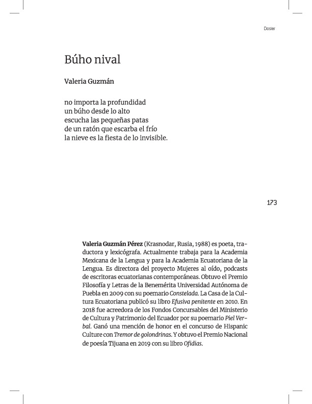 Búho nival – Pie de Página
